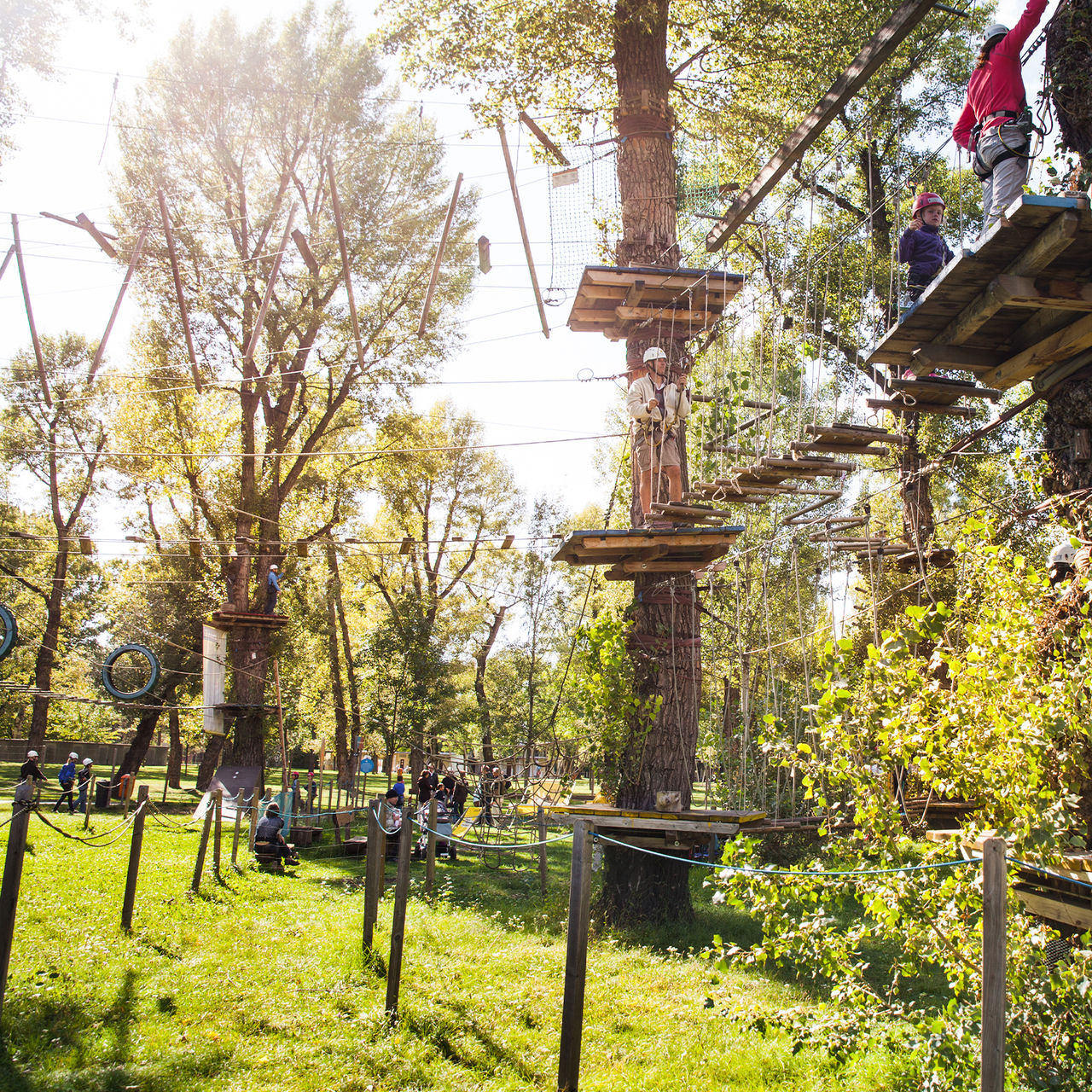 Die schönsten Hochseilgärten Österreichs